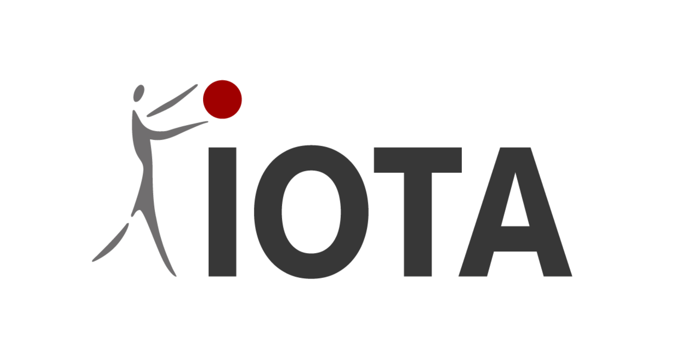 Expert en prestation de services à l’international | IOTA Group